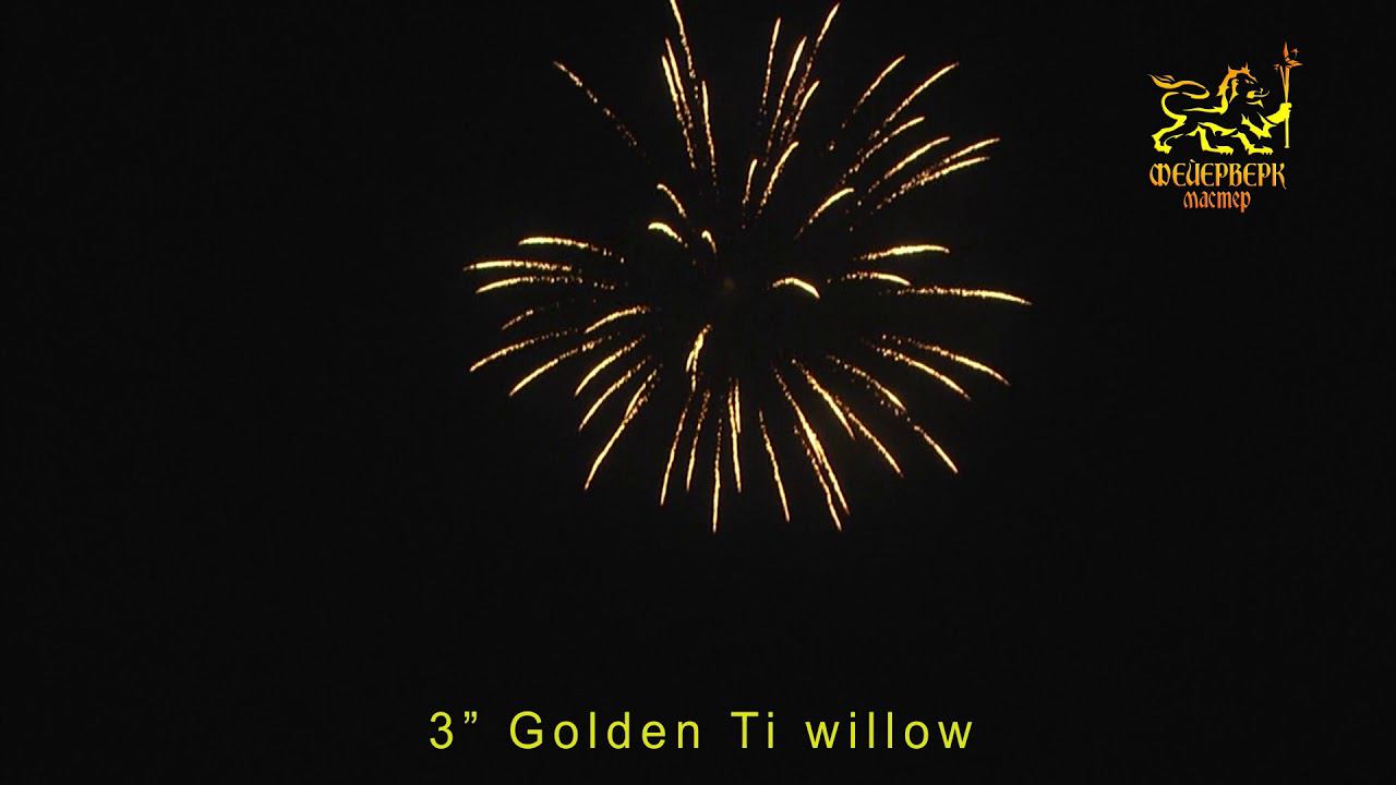 3" Golden Ti Willow