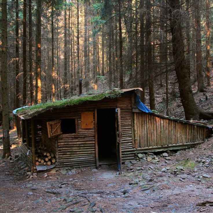 1. Выживание в зимнем лесу без снаряжения...mkv