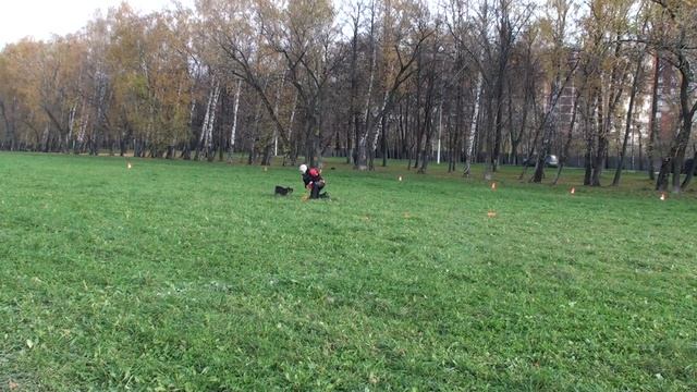 Татьяна и Чижик - фризби-фристайл.mp4