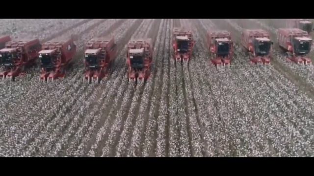 Арал: между прошлым и будущим