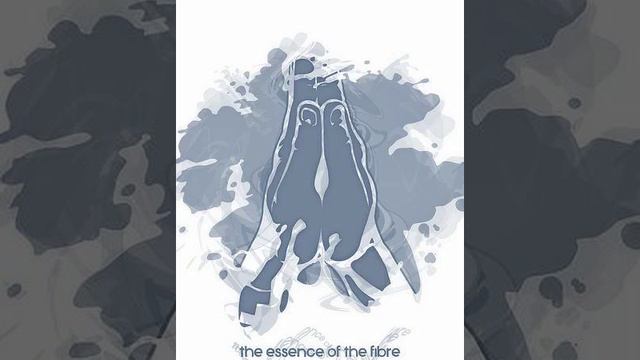 Renard - The Essence of The Fibre [Full Album] (2008)