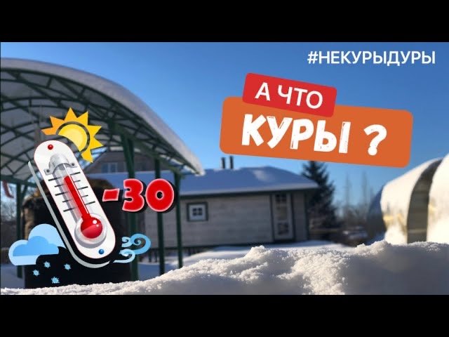 Курятник зимой. Когда минус 30 раз в 10 лет.