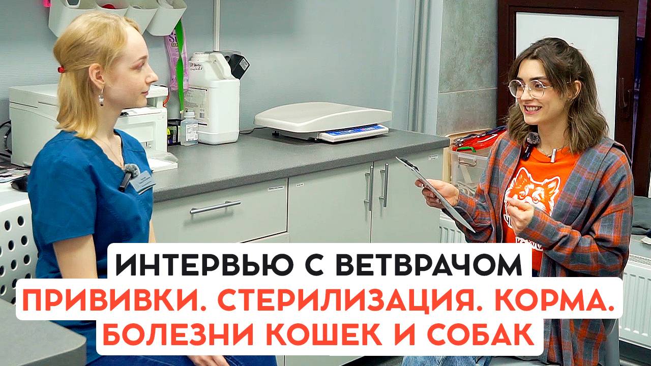 Советы ветеринарного врача нефролога. Стерилизация. Прививки. Корма. Болезни кошек и собак.