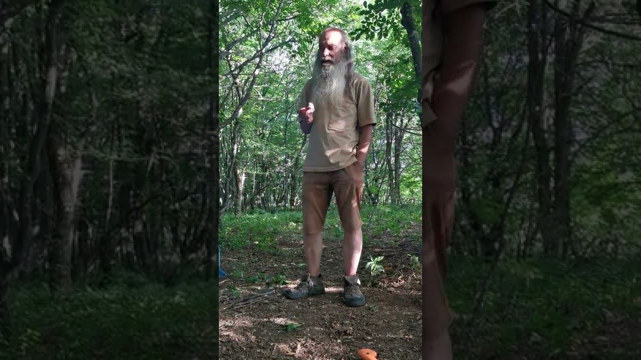 ЛАД  Сказ  Великий переход  Великий Человек