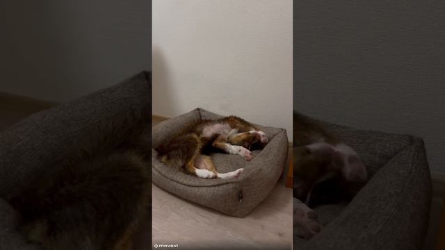До пятницы совершенно свободен