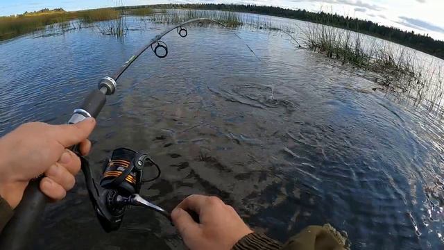 моменты улова щуки на спиннинг