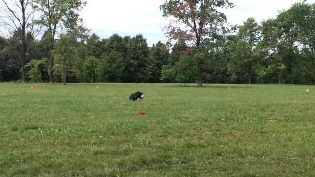 ЗахватДиски Комбо Саша и Ника.mp4