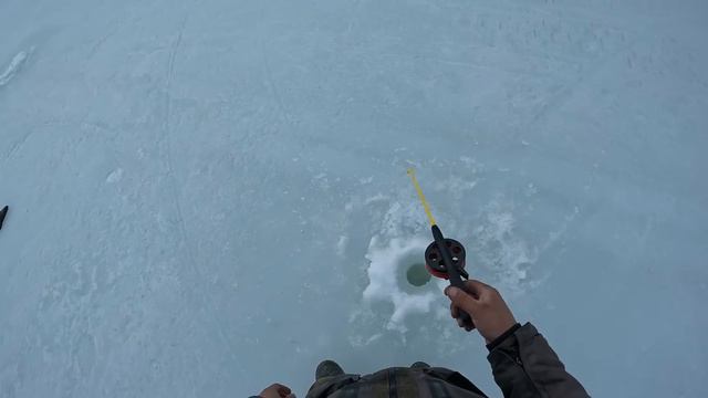 Отличный день на рыбалке! Трофейный хариус на удочку