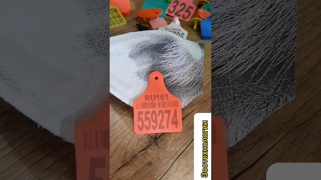 Как правильно?