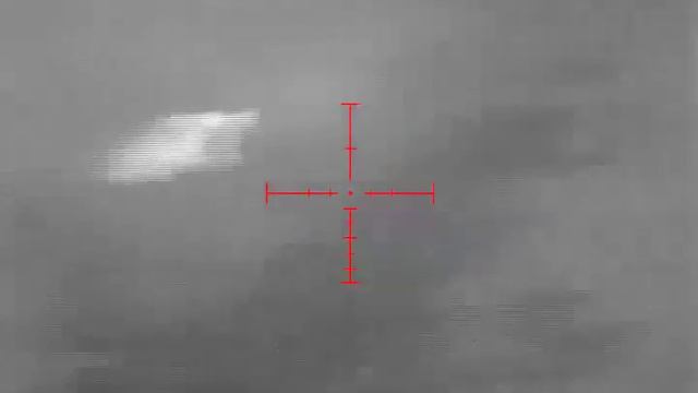 Охота на кабана с вышки