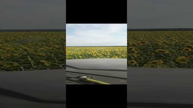 Эх, путь-дорожка фронтовая.mp4