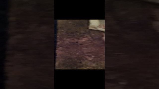 Творило погреба готово.