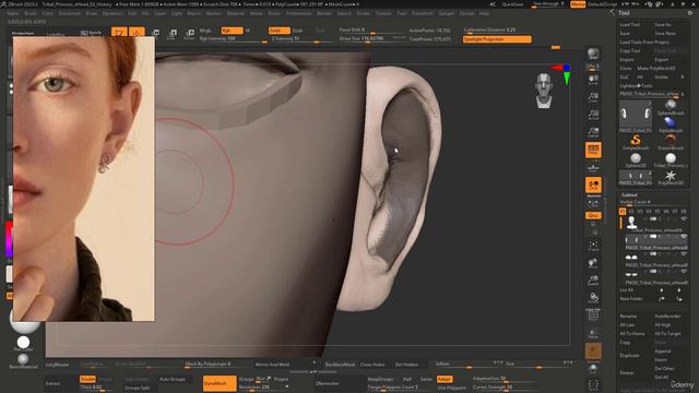 8. Starting The Ears