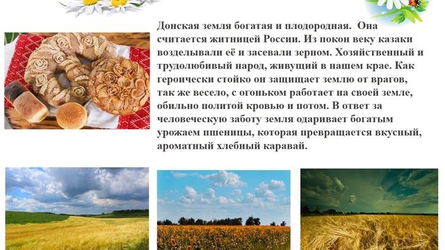 Краеведческая шкатулка Путешествие по Донскому краю.wmv