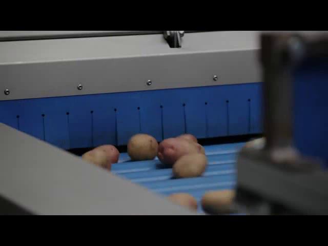 Картофель, морковь - сортировка оптическая