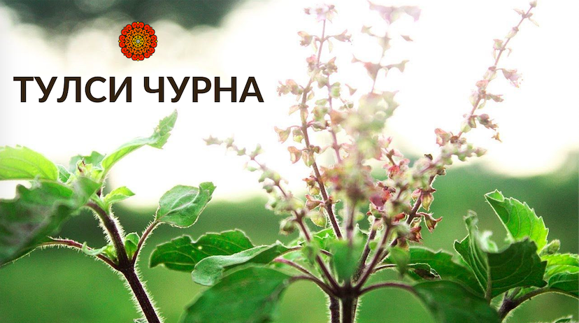 Туласи чурна