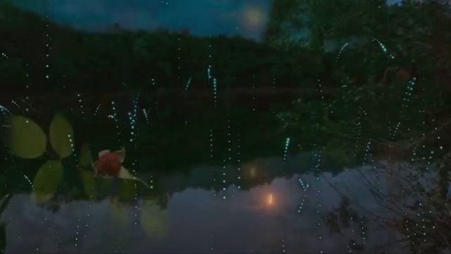 Первая ночь авторская песня Н Жукова,поет Г Погорельская =.mp4