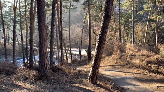 24 апреля 2023 г.