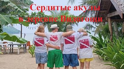 Сердитые акулы в деревне Видогощи