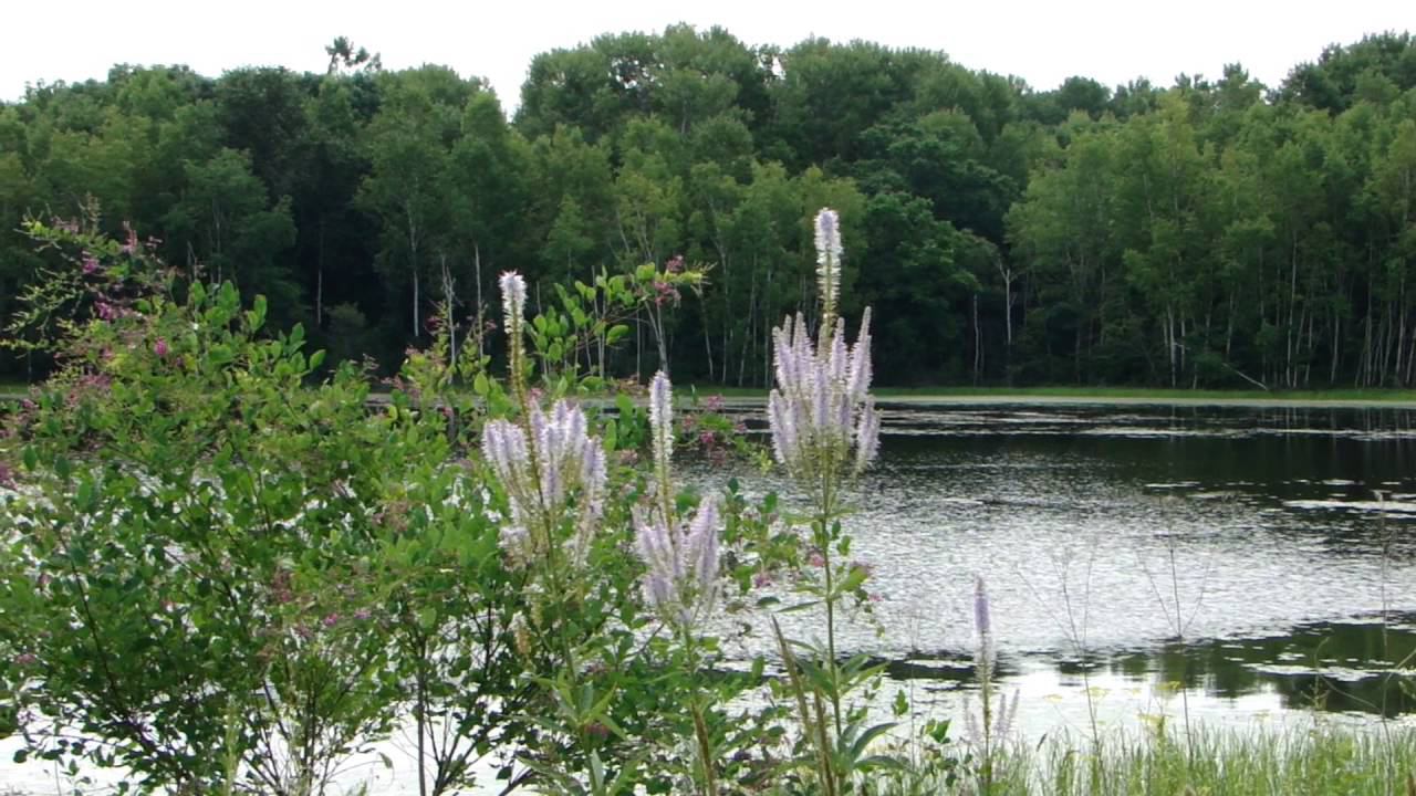 Природа северного Приморья.