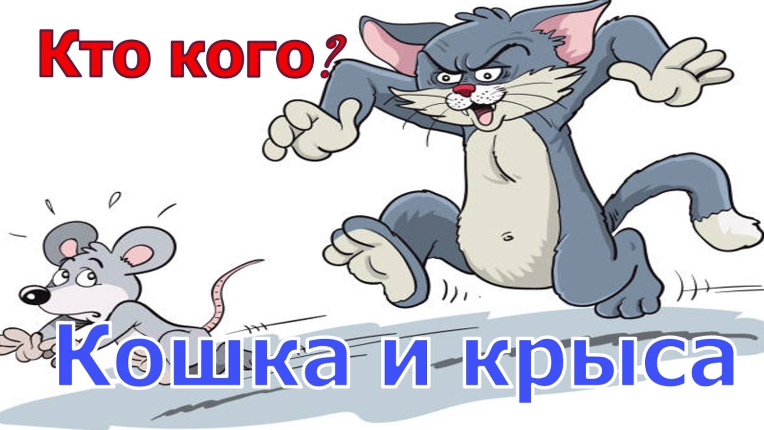 Кошка и крыса. Кто кого?