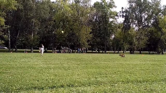 Ольга и ка де бо Барс. Фризби-Фристайл..mp4