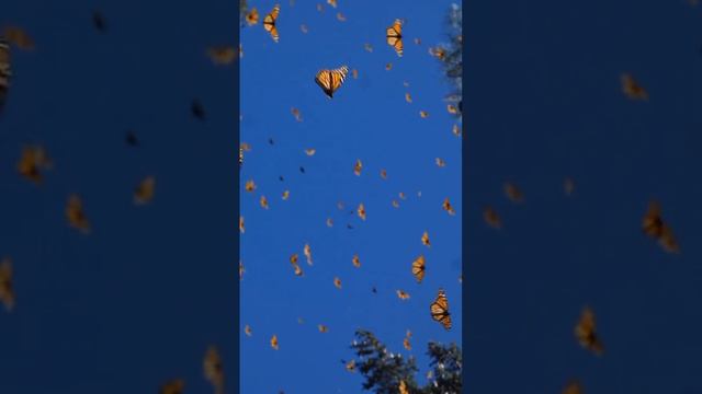 Настроение