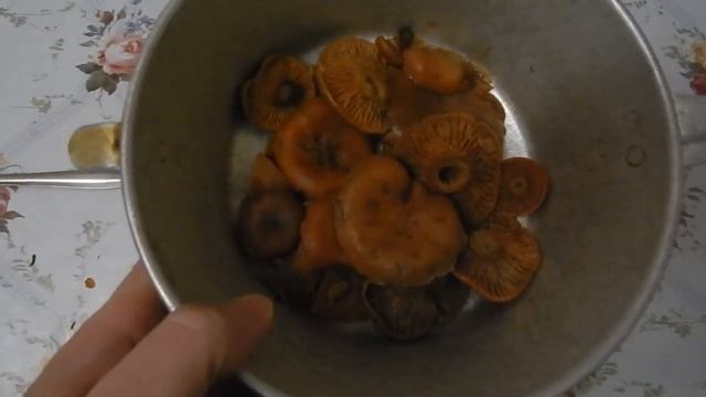 _Тихая охота_ и рецепт Наивкуснейшего пирога с грибами