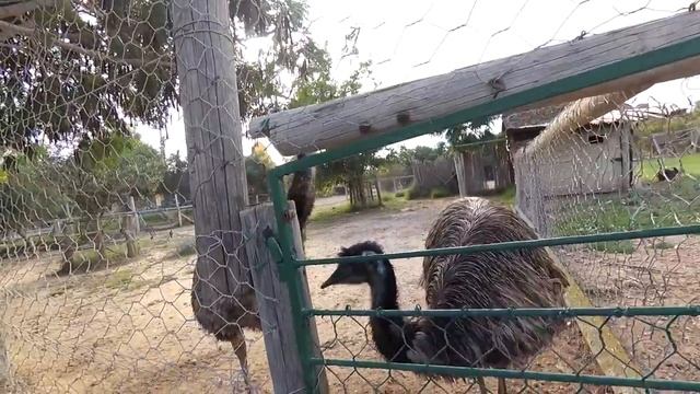 Отдых в Африке_ Тунис 2016. Часть 2