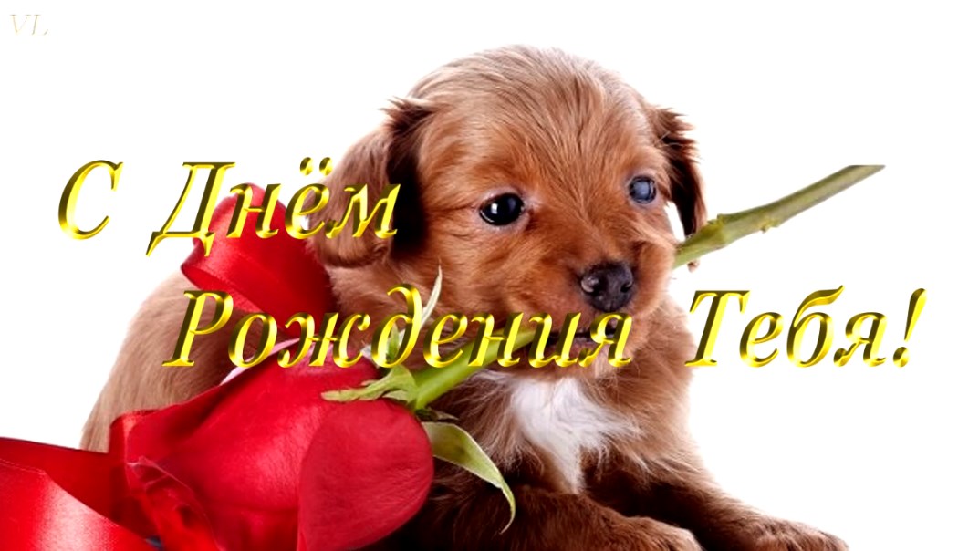 С ДНЁМ РОЖДЕНИЯ | ДЕНЬ РОЖДЕНИЯ | ПОЗДРАВЛЕНИЕ С ДНЁМ РОЖДЕНИЯ