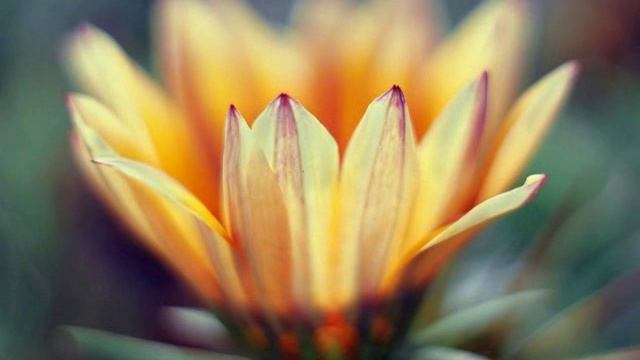 Проект народного фотоклуба «Камчатка» «ЗНАКОМЬТЕСЬ»