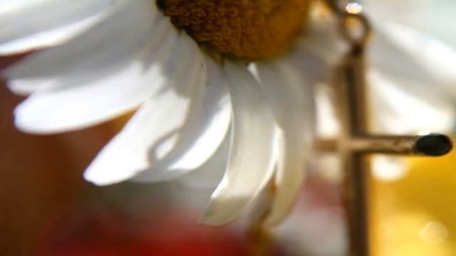 Jesus Is Love  -  The Commodores  -  (1980).mkv