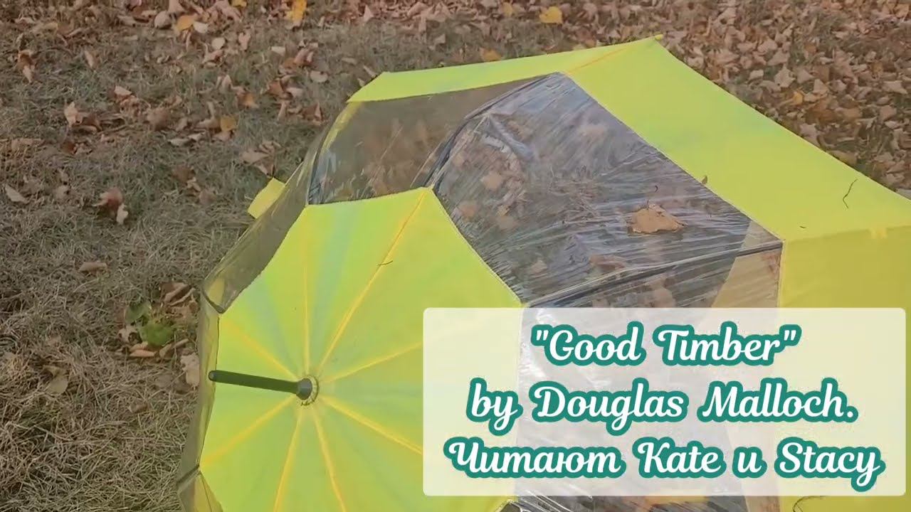 Студенты Лингвитании читают стихи