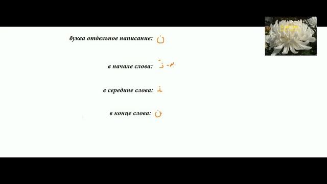 25 буква   Нун   арабского алфавита.