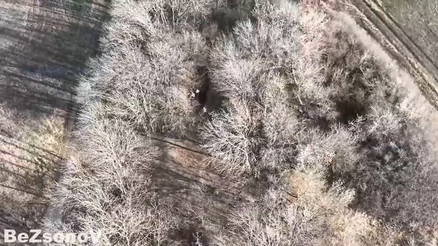 Укр. военные казнят СВОИХ же сослуживцев!