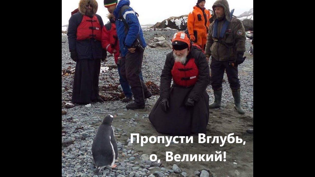 Патриарх  установил контакт с пингвинами. И  получил книгу ИГо.  ОВ31