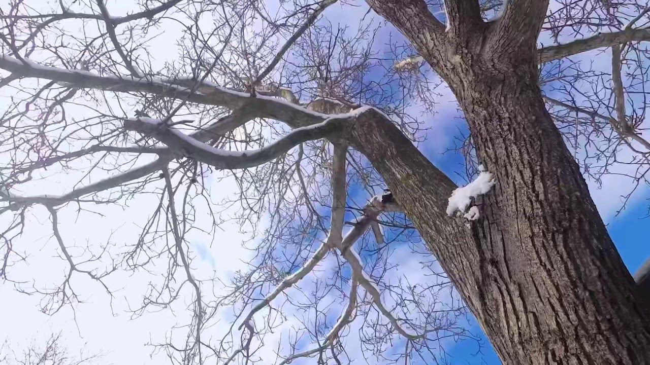 Зима в Приморке