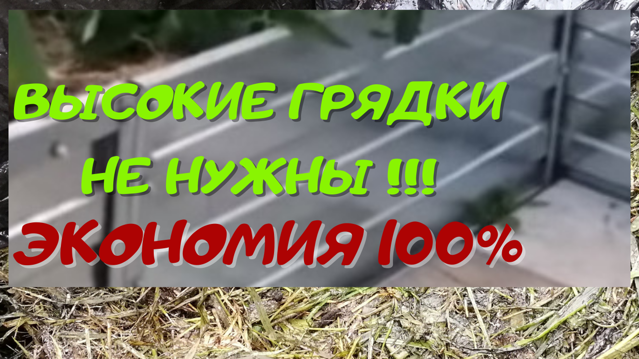 Мульчирование без грядок