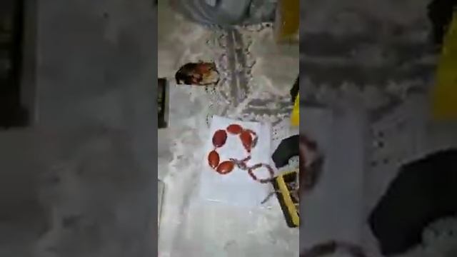 ДАРЫ….ИНГА ХОСРОЕВА.