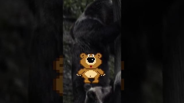 Мишкин стендап.Часть 9