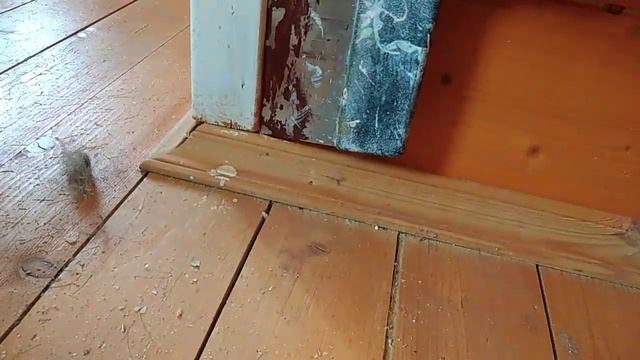 малярные  хитрости.mp4