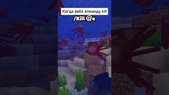 Когда ввёл команду kill