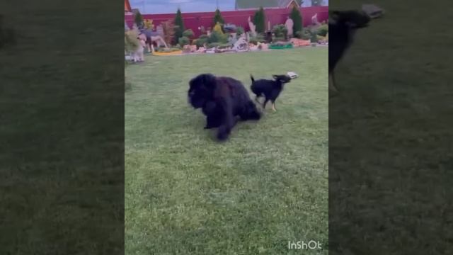 Альт уехал домой