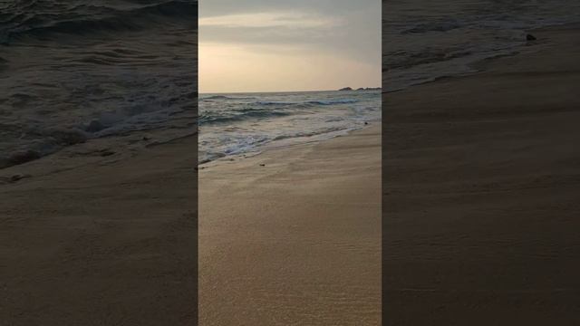 Хочу опять туда! Хиккадува, Шри-Ланка.