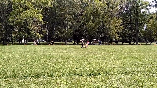 Мария и расстел терьер Вася. Фризби-Фристайл..mp4