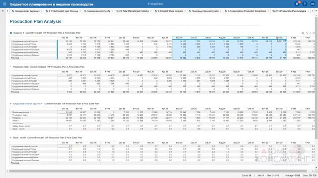 Автоматизация бюджетного планирования в пищевом производстве
