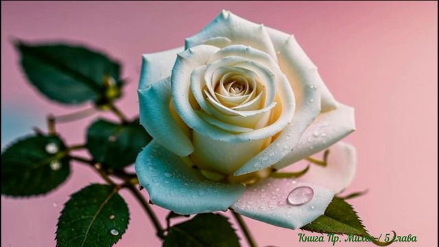 "Книга Пр. Михея" / 5 ГЛАВА