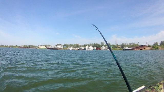 Обзор рыбных мест 18.07.2023 год №7 р.Иртыш г.Омск Рыбалка спиннингом, троллинг в затоне Лампочка.