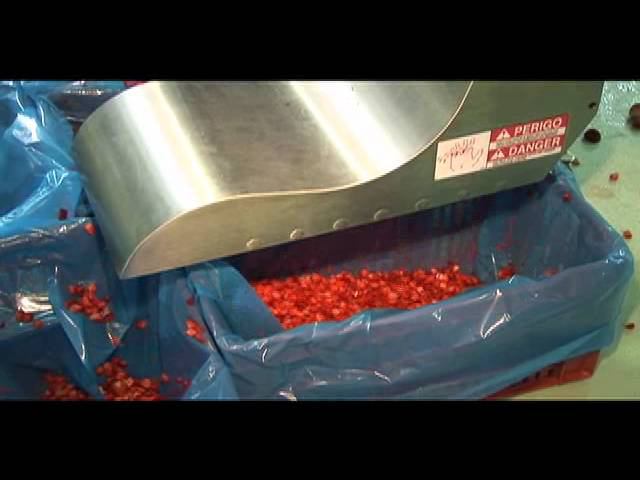 Нарезка Клубники Urschel DC Sprint (Русбана).m4v