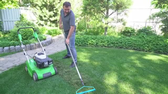 Как ухаживать за газоном